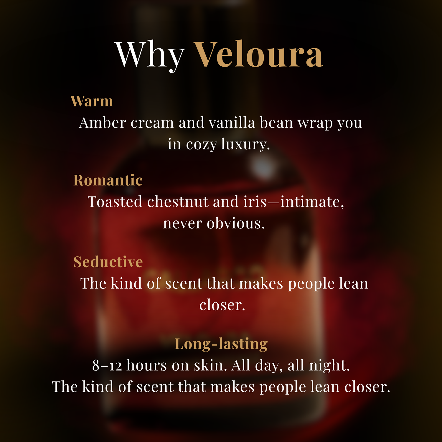 VELOURA – Gallardo